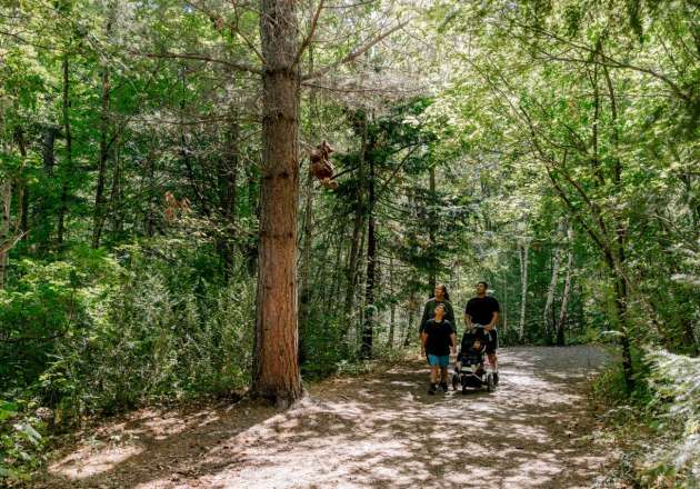 A Holiday Destination For The Whole Family | Visit Hurunui | Visit Hurunui