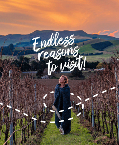 Explore Hanmer and Hurunui - Hanmer, Waipara Valley & the Hurunui | The ...