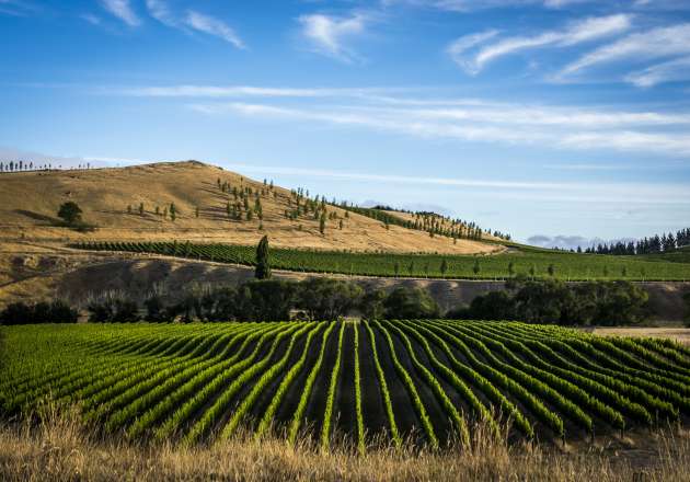 Experience The Magic of The Hurunui Region | Visit Hurunui | Visit Hurunui