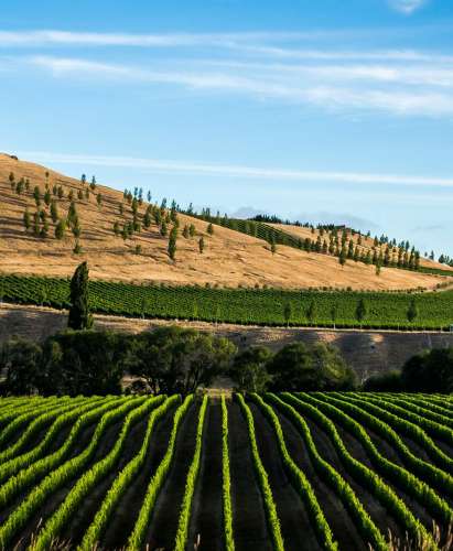 Explore Hanmer and Hurunui - Hanmer, Waipara Valley & the Hurunui | The ...