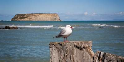 Explore Hanmer and Hurunui - Hanmer, Waipara Valley & the Hurunui | The ...